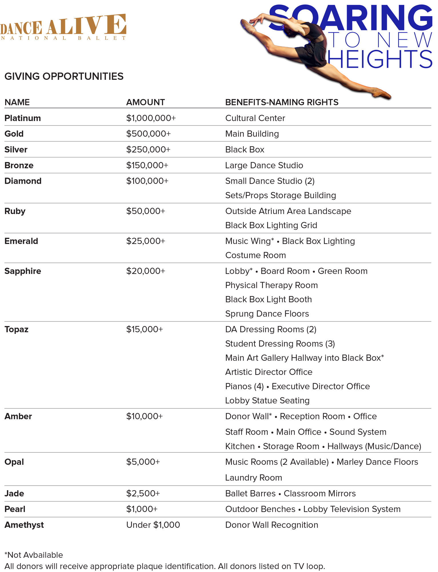 Capital Campaign – Dance Alive National Ballet